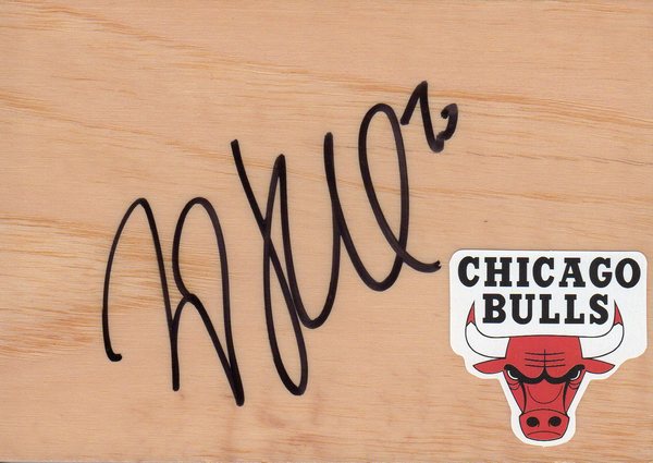 Chicago Bulls Tony Snell Signed FloorBoard - Memorabilia For Less