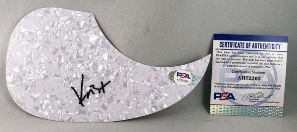 Krist Novoselic Signed Acoustic PickGuard Nirvana 1 PSA/DNA ...