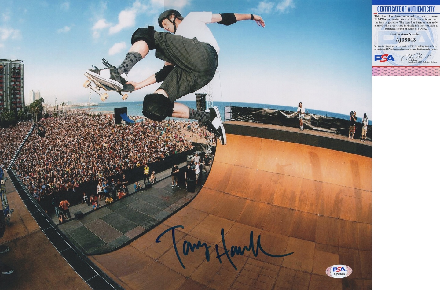 Tony Hawk Signed 11x14 Photo PSA/DNA Birdhouse - Memorabilia For Less