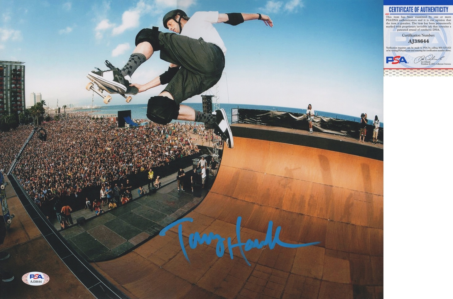 Tony Hawk Signed 11x14 Photo PSA/DNA Birdhouse 1 - Memorabilia For Less