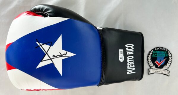 Xander Zayas Signed Boxing Glove Puerto Rico Beckett BAS - Memorabilia ...